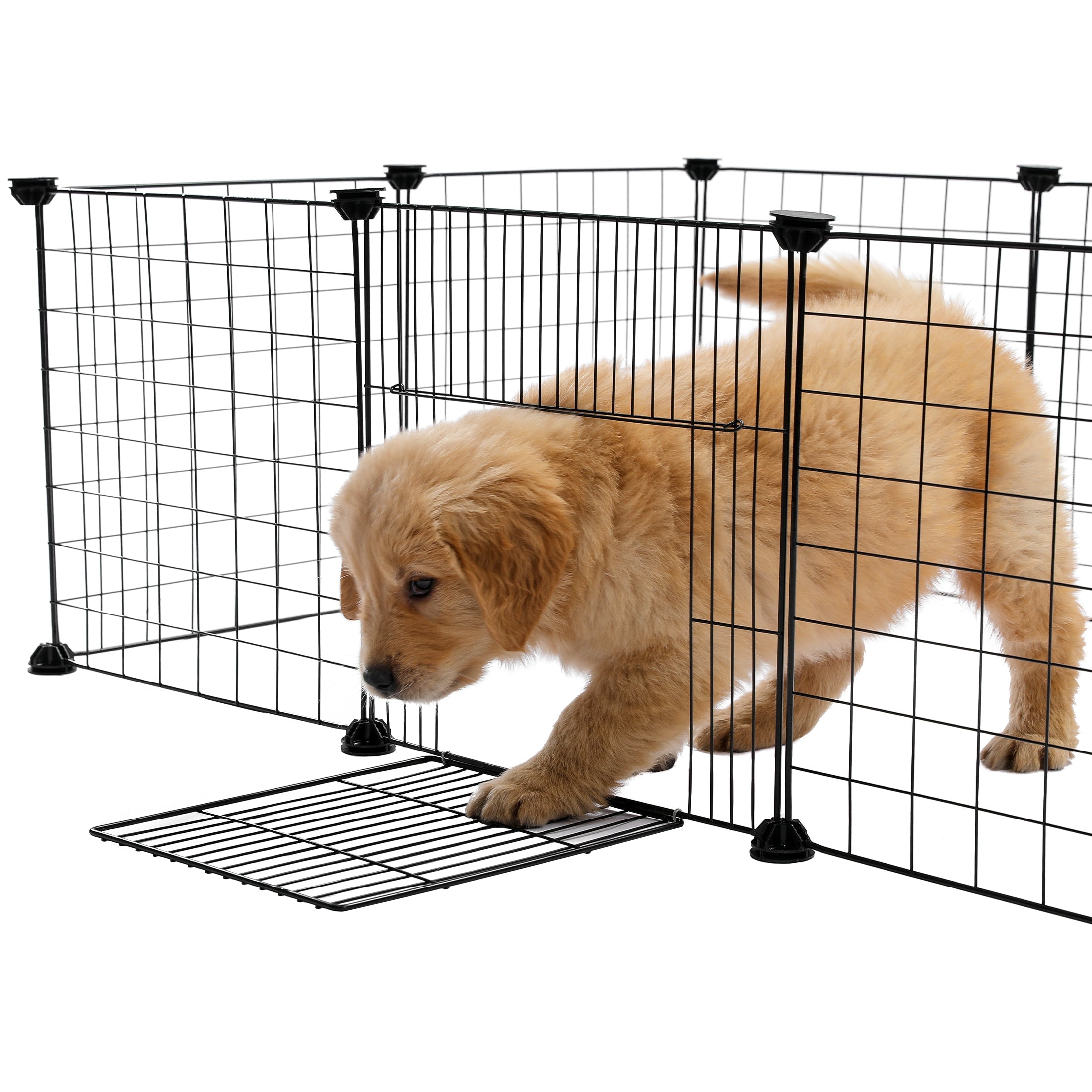 Hopfällbar Valphage & Hundbur inomhus | Hundgrindar Bäst i test ...